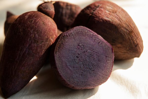 Everything You Need to Know about Ube - Talk Boba